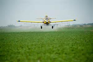 Aerial Spraying | Friesenborg & Larson | Buffalo Center, Iowa